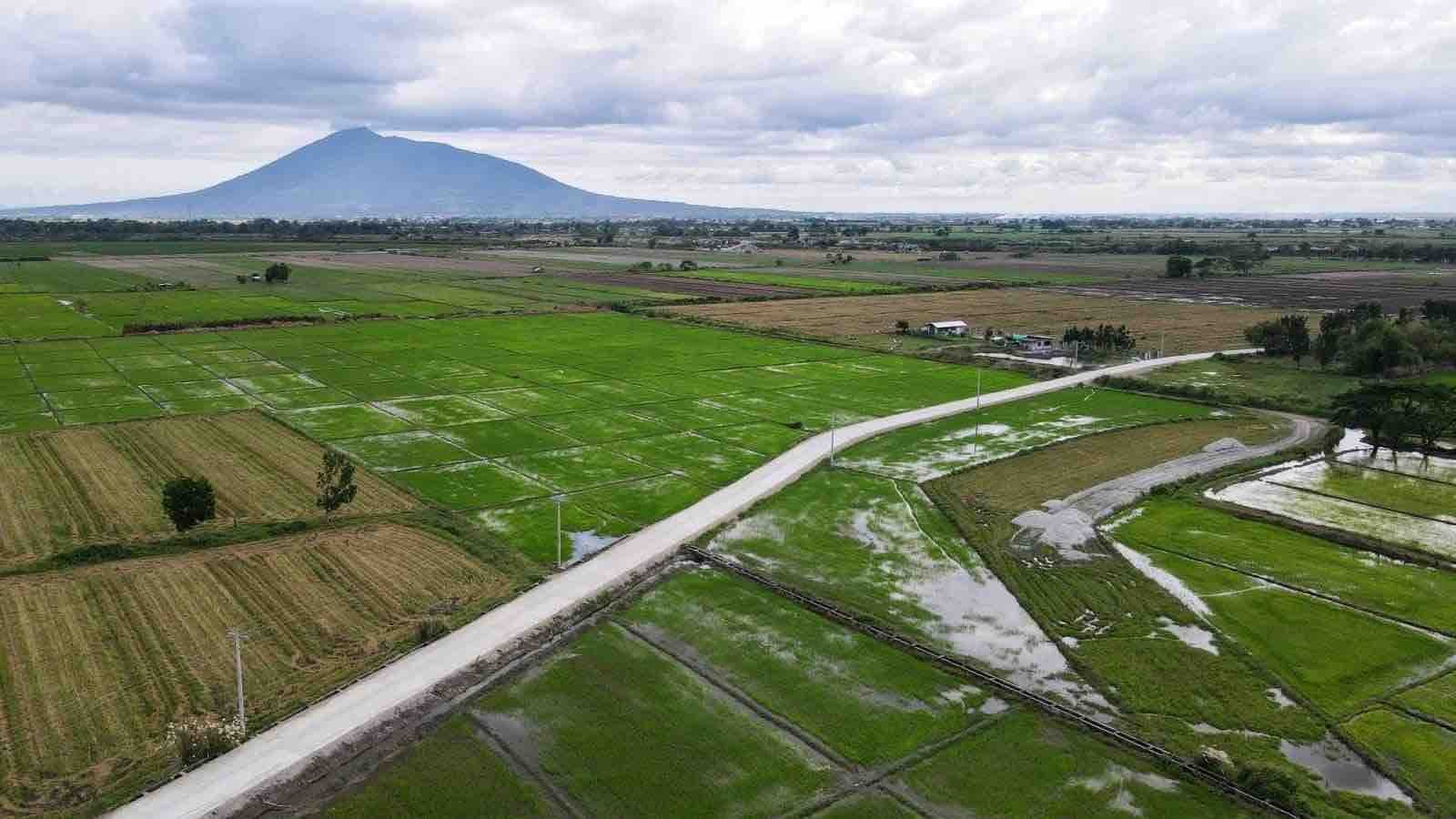 DPWH completes farm-to-mill road in Tarlac - Pampanga News Now