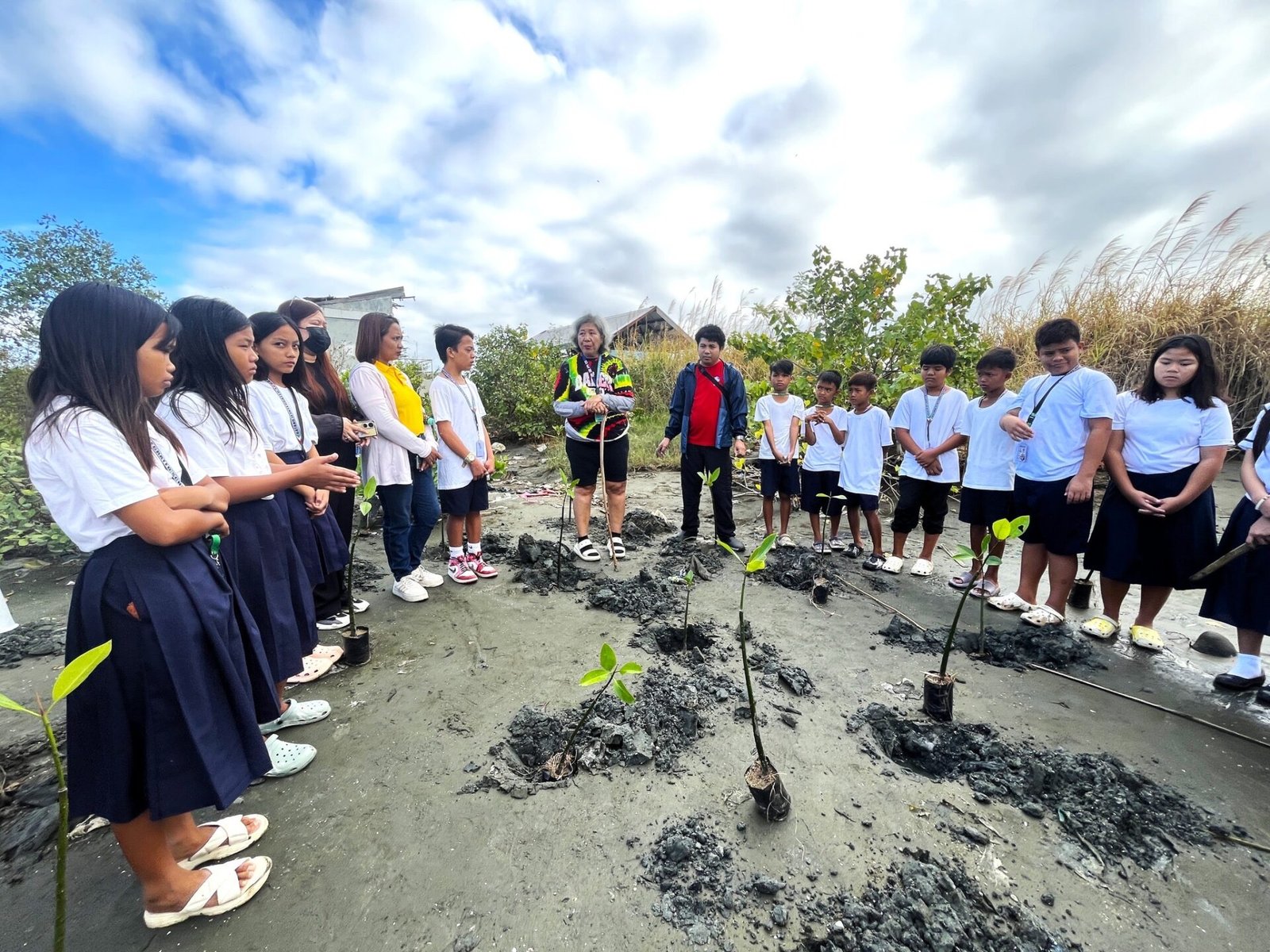 Sasmuan youth plant mangroves to preserve, protect wetlands - Pampanga ...