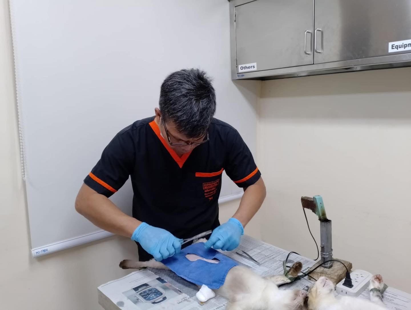 Angeles City steps up stray animal control initiatives - Pampanga News Now