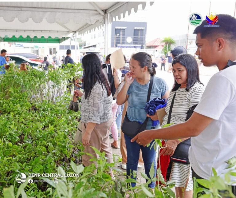 DENR steps up reforestation with 5K seedlings in Central Luzon ...